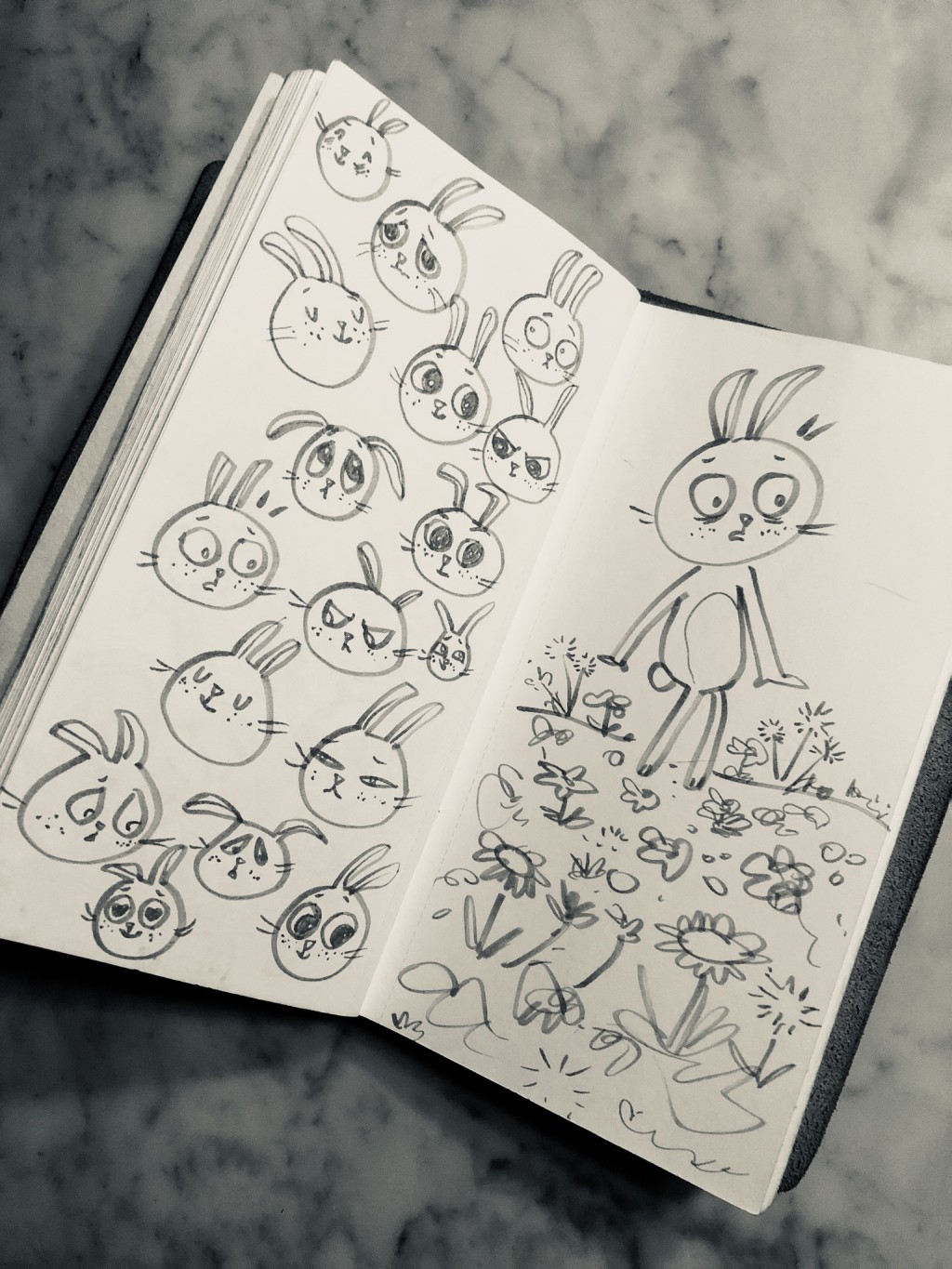 Buns drawing by Angela Martini | Doodle Addicts