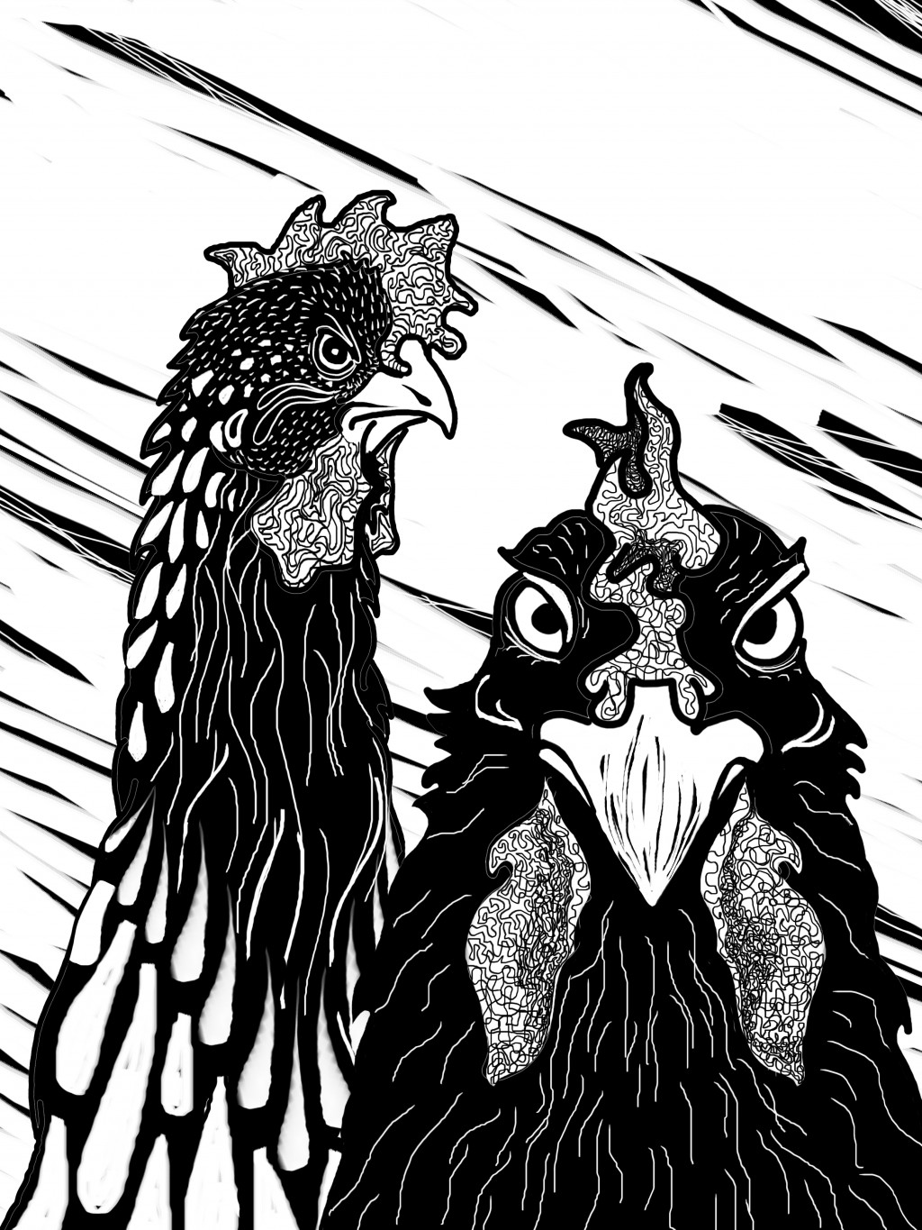 grumpy chickens drawing by Morgan Elle | Doodle Addicts