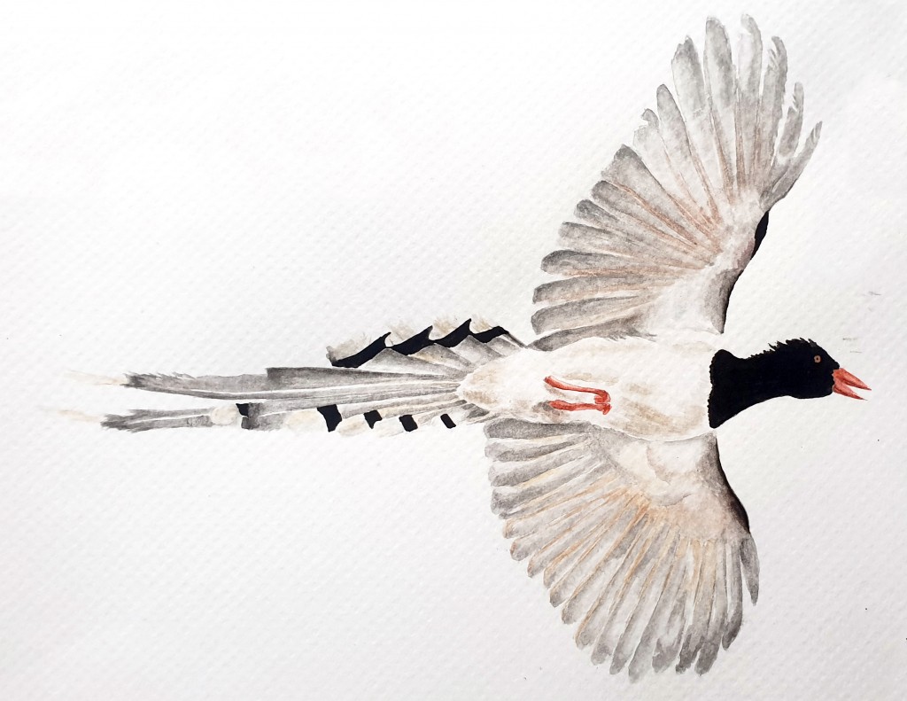 The Gasp drawing by Rubina | Doodle Addicts