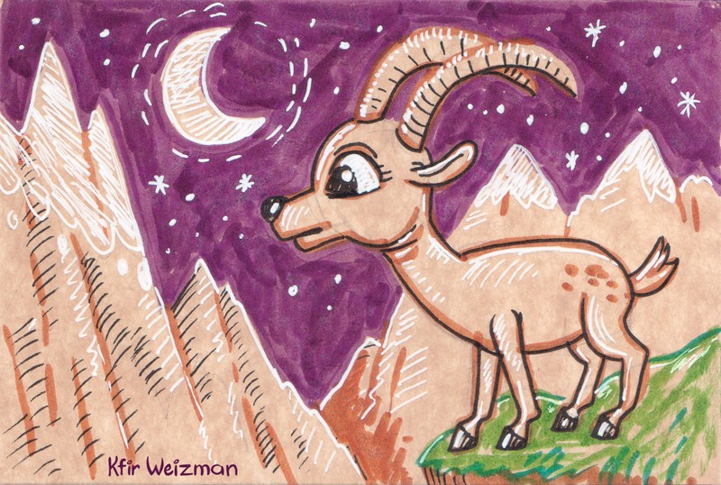 Alpine ibex drawing by Kfir Weizman | Doodle Addicts