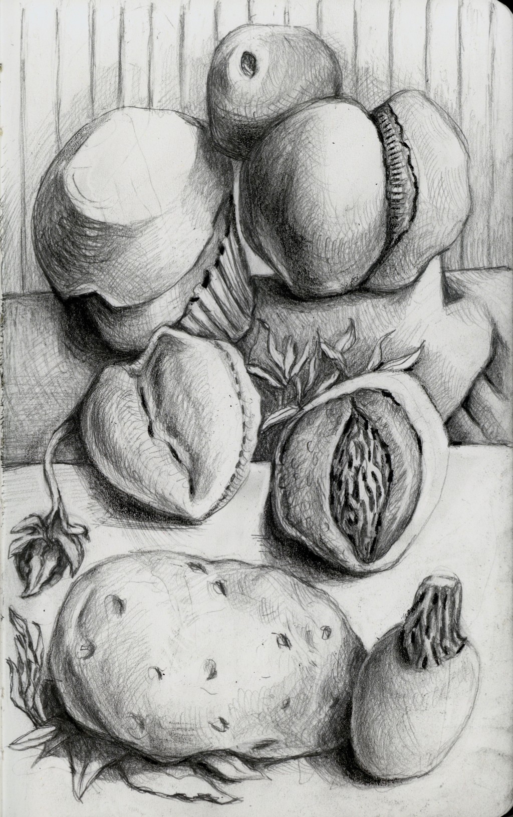 Strange Fruit drawing by Doug Edwards | Doodle Addicts