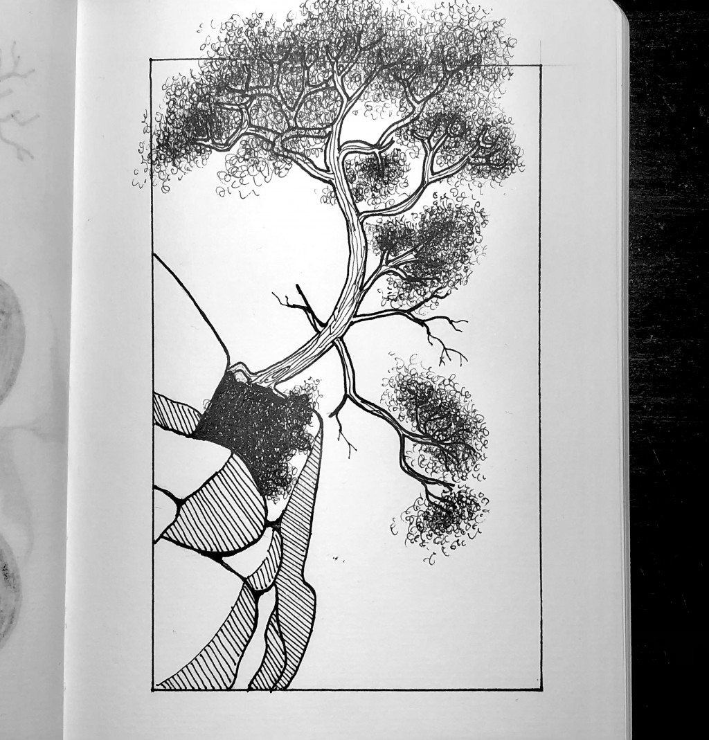 Tree on a cliff drawing by Ashima Bawa | Doodle Addicts