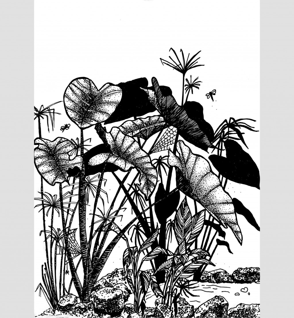 SarayaGoa Plant Drawings/Study drawing by Ashima Bawa | Doodle Addicts