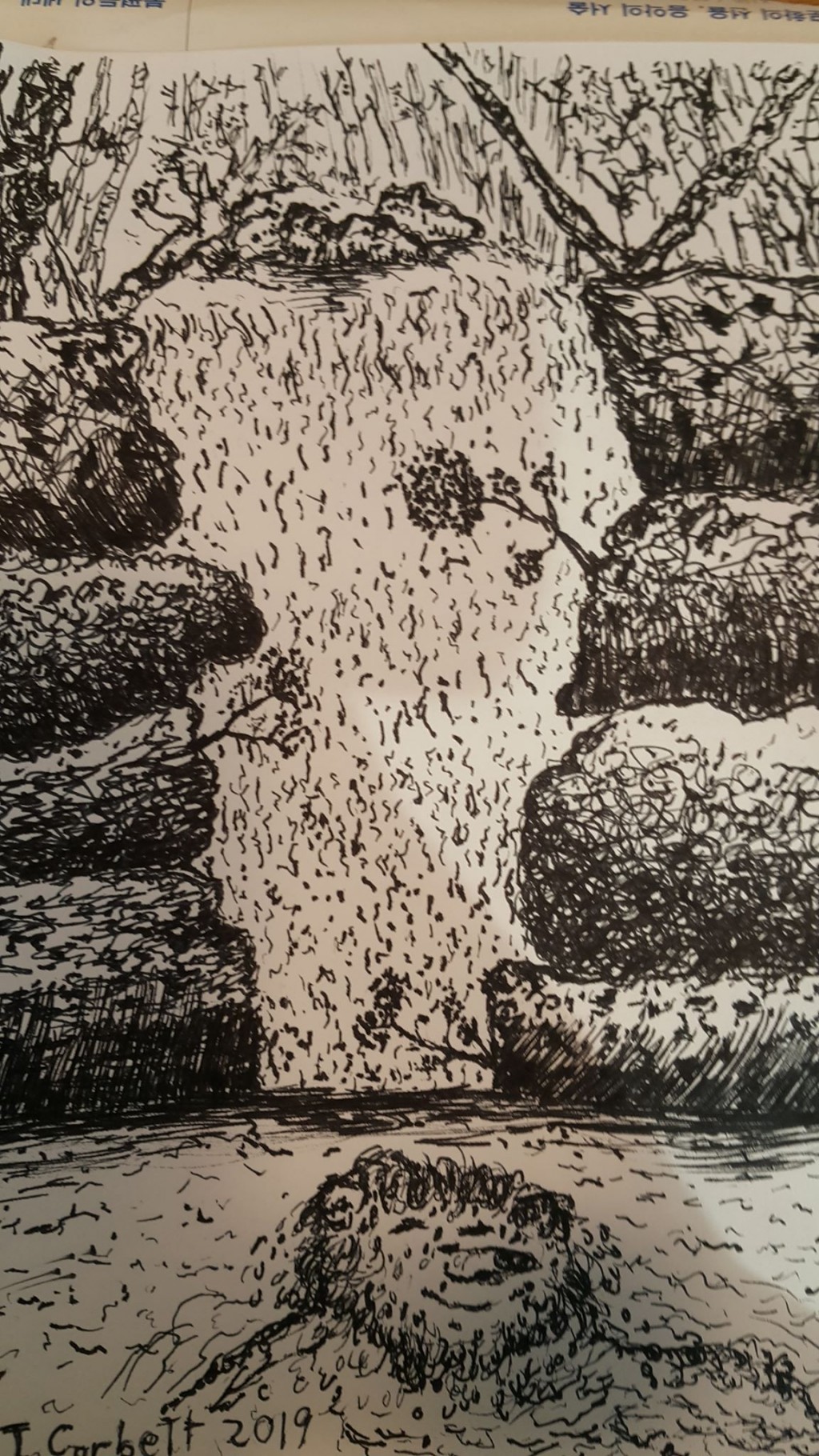 Bear Swimming at Falls drawing by Jim Corbett | Doodle Addicts