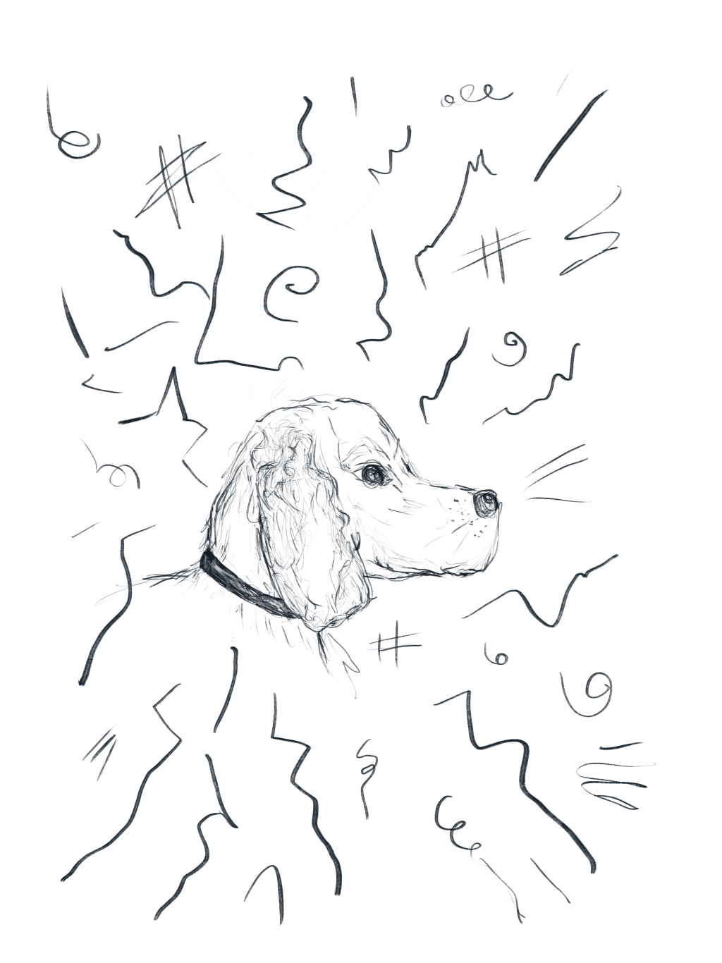 Pepper our neurotic cocker spaniel drawing by Alice Stevens | Doodle ...