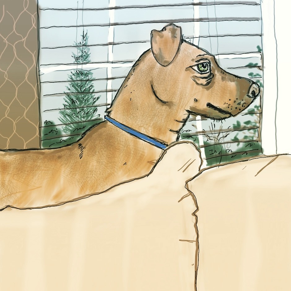 mydog drawing by rex riley | Doodle Addicts