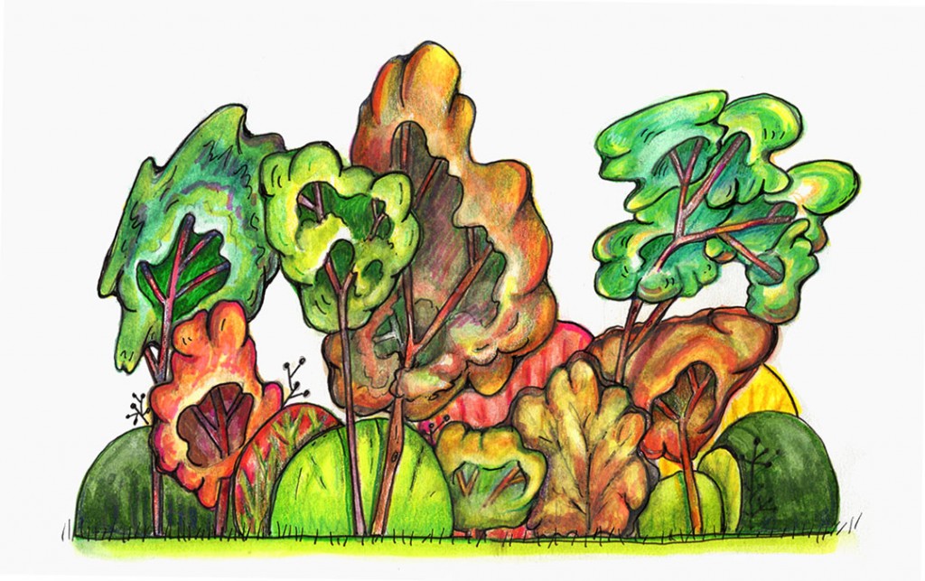 Summer Trees drawing by Celeste | Doodle Addicts