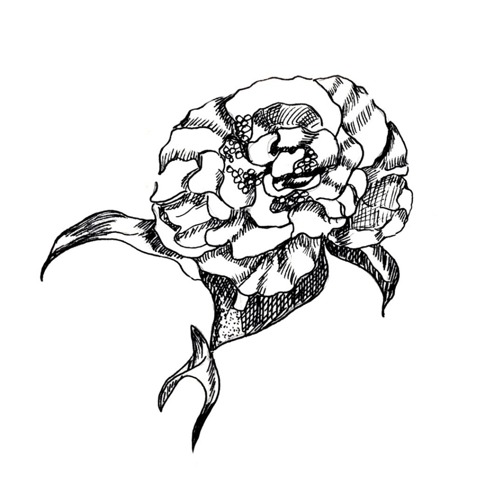 Camilla drawing by Celeste | Doodle Addicts