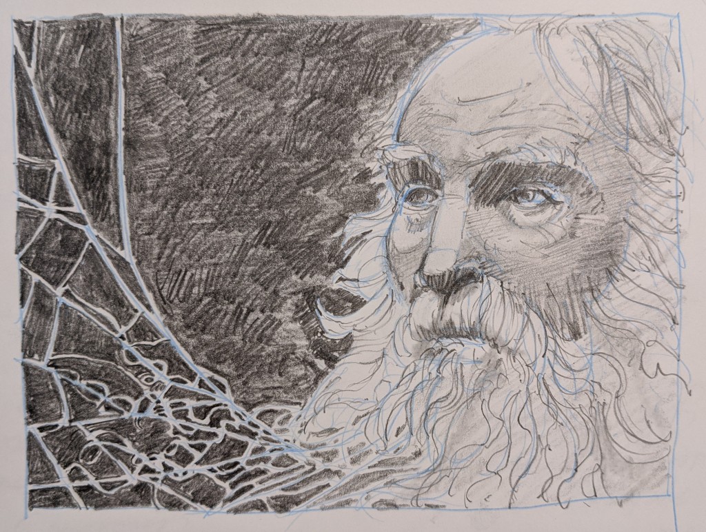 A Noiseless Patient Spider drawing by Tim Nordin | Doodle Addicts