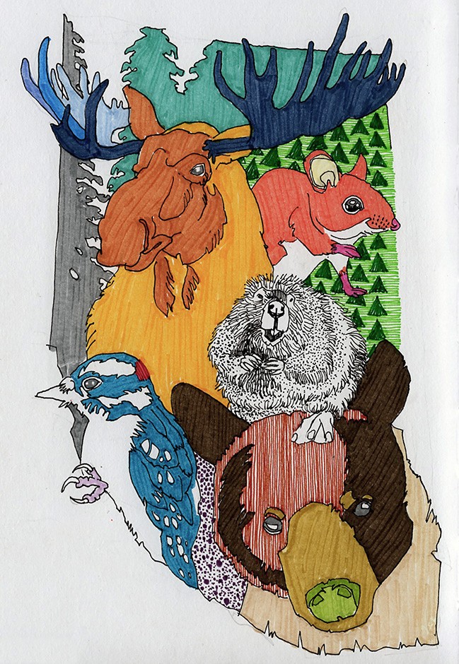 Fauna of Alberta drawing by Tim Nordin | Doodle Addicts