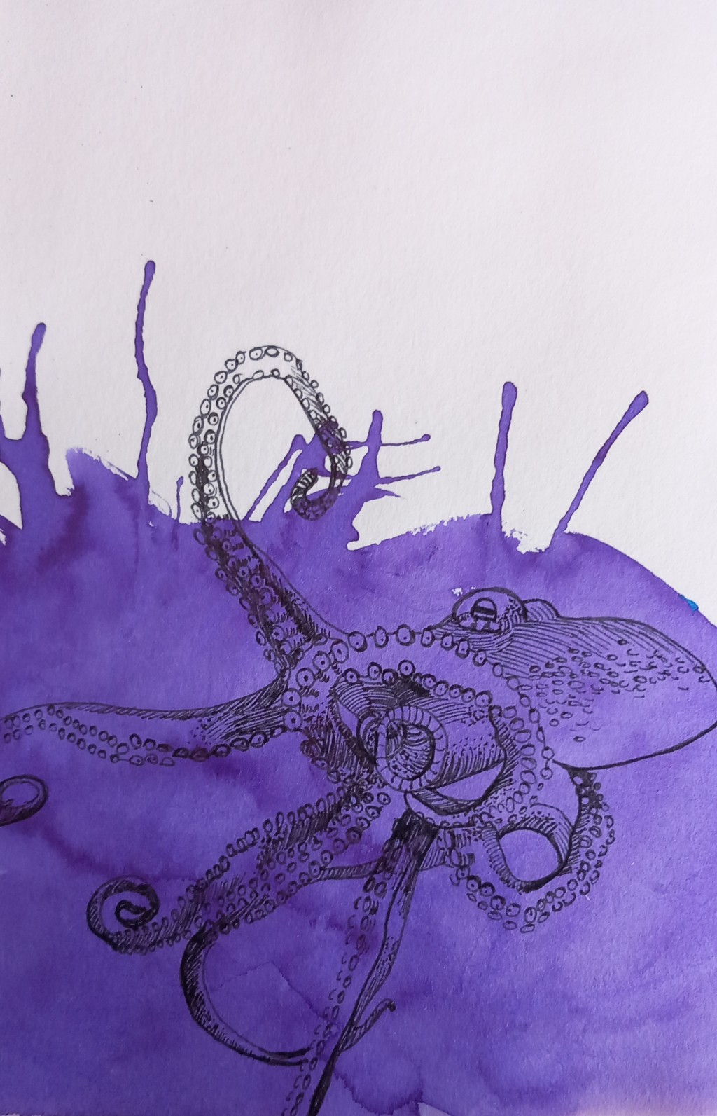 Octopus drawing by Jasmin | Doodle Addicts