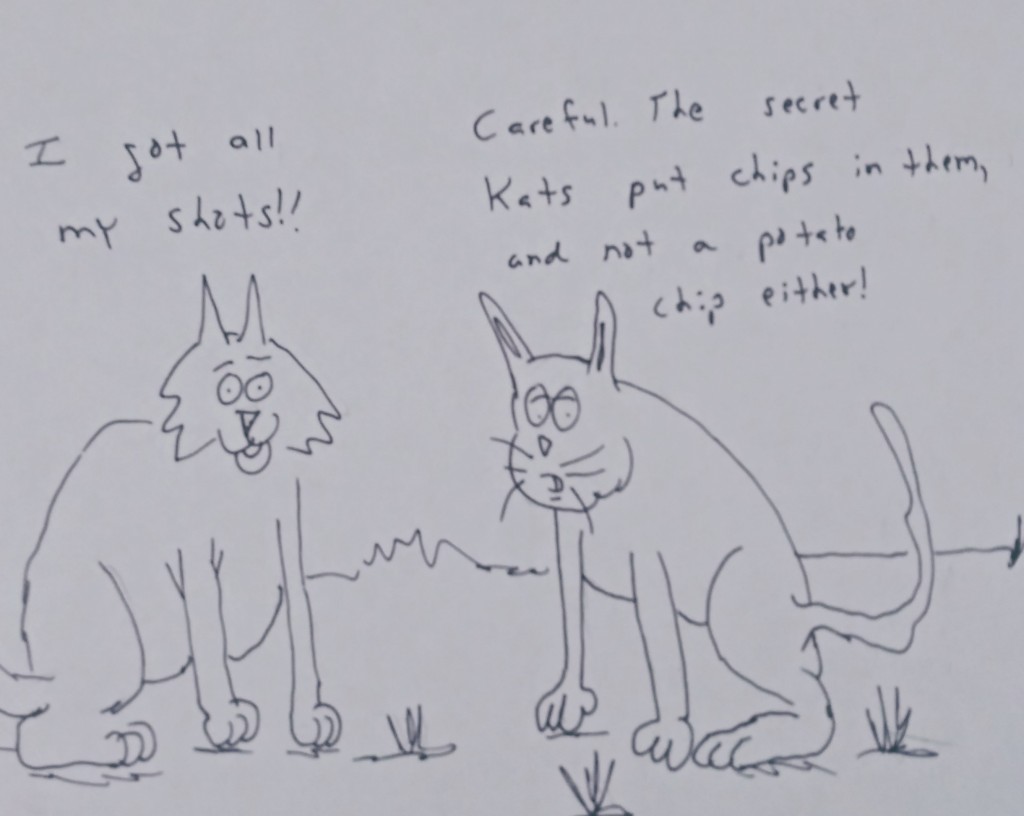 Chippy cat drawing by Robert Falagrady | Doodle Addicts