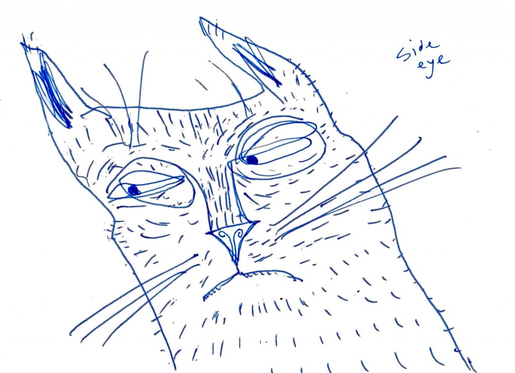 Side Eye drawing by Tracy Boness | Doodle Addicts