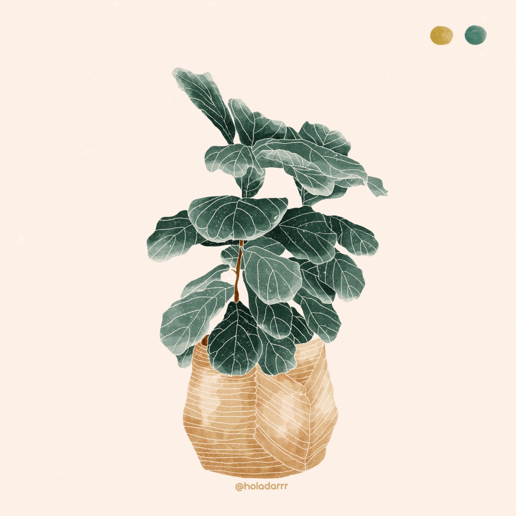 Fig tree drawing by Darlene Boza | Doodle Addicts