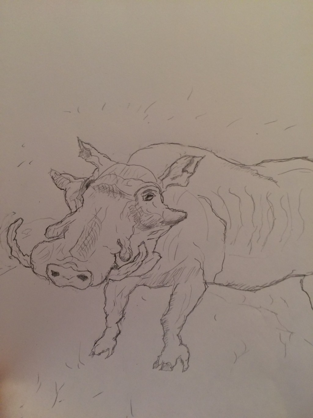 Warthog Sketch