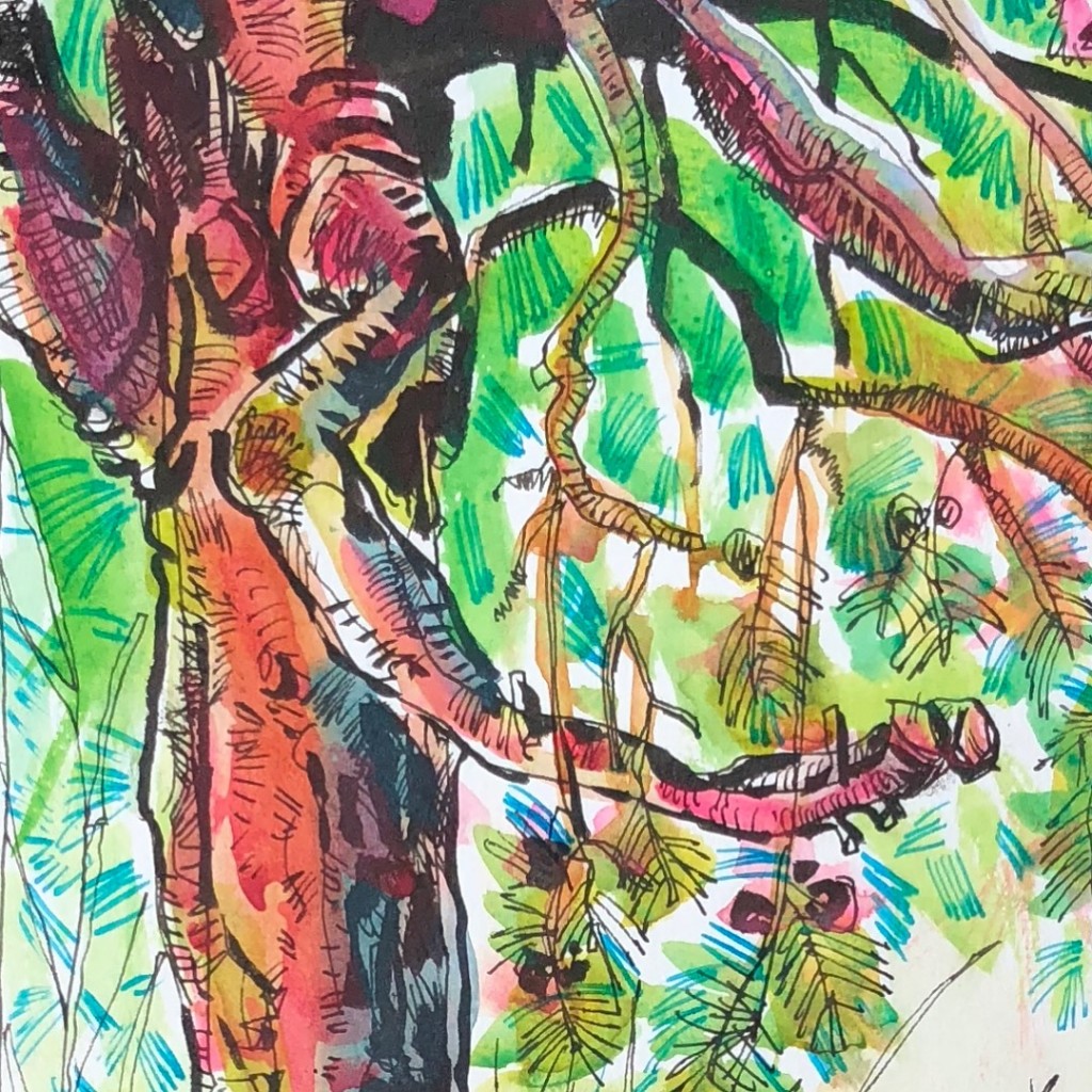 Trees drawing by David Terrill | Doodle Addicts