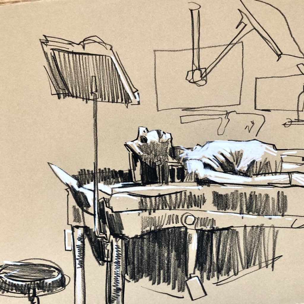 Cadaver Drawings drawing by David Terrill | Doodle Addicts