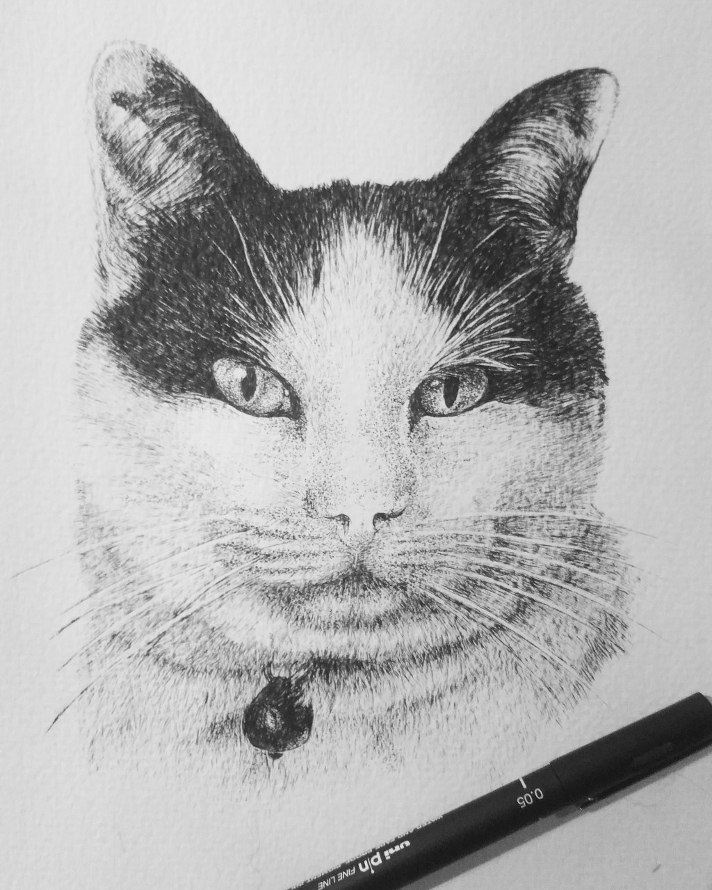 Kitty McCat Face! drawing by Julia Hill | Doodle Addicts