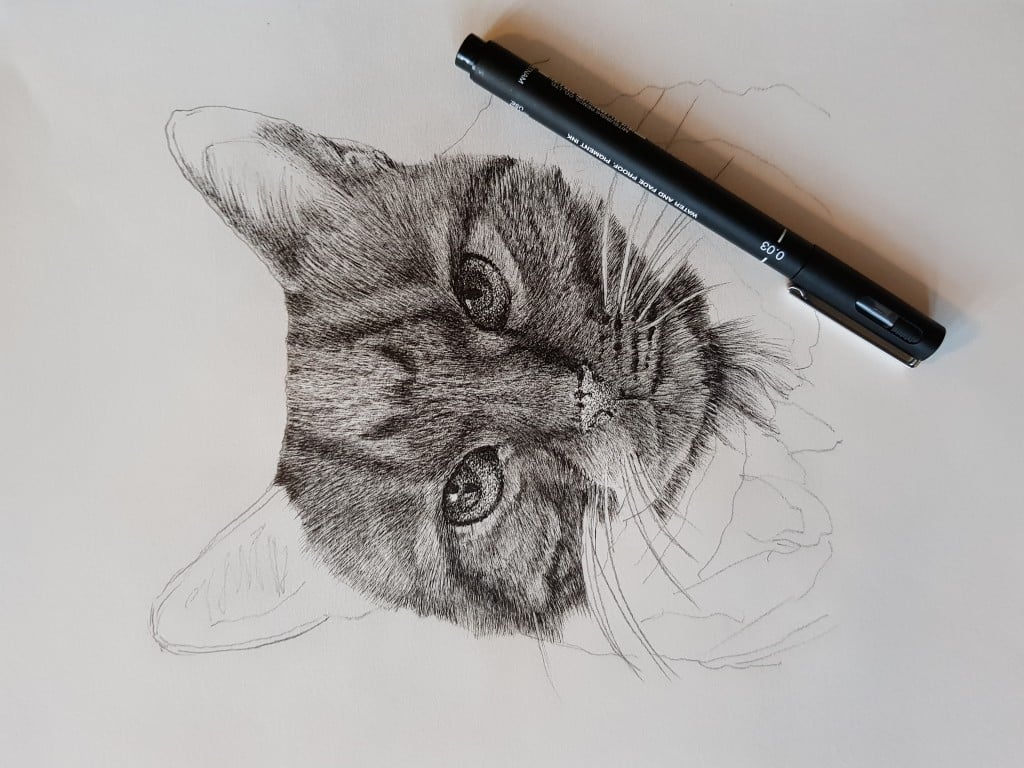 Twinkle drawing by Julia Hill | Doodle Addicts