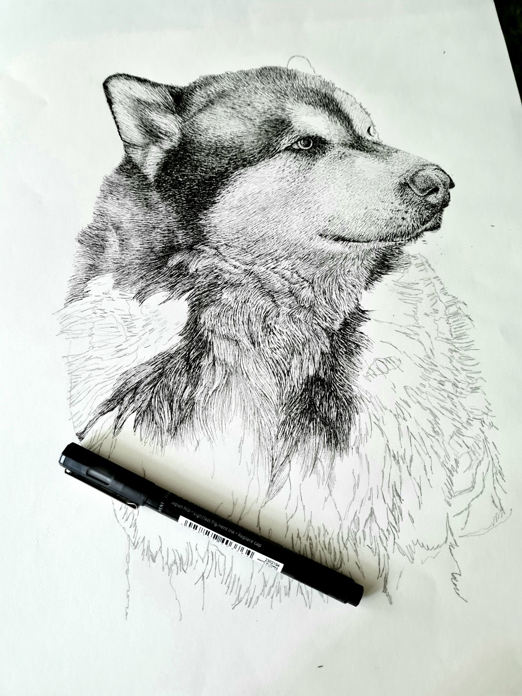 Timber drawing by Julia Hill | Doodle Addicts
