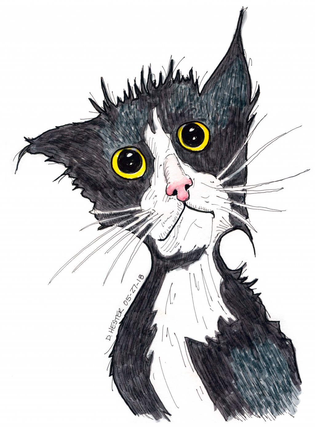 Scruffy Kitten drawing by Darren Hester | Doodle Addicts