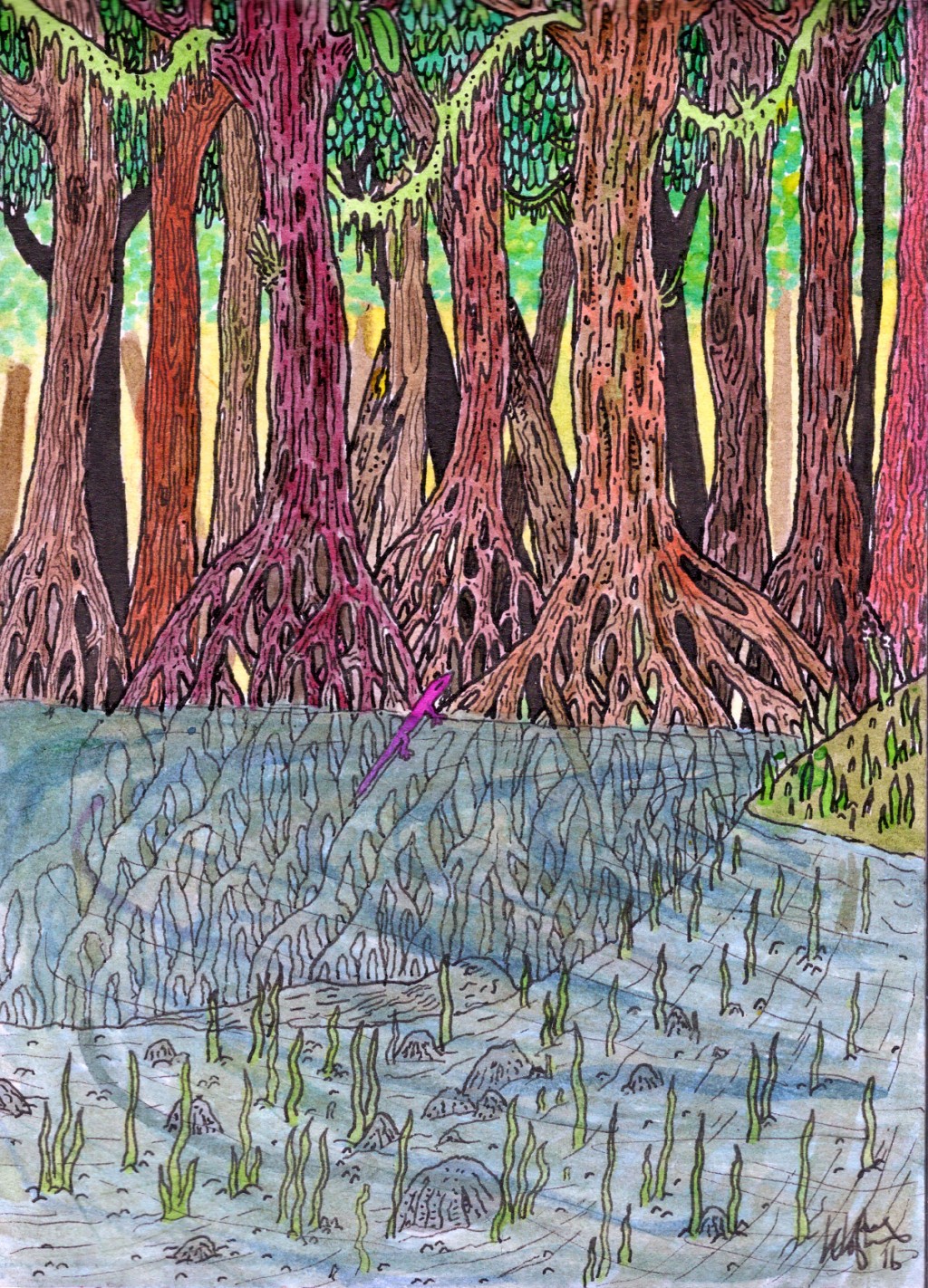 A mangrove swamp drawing by Kevin Loftus | Doodle Addicts