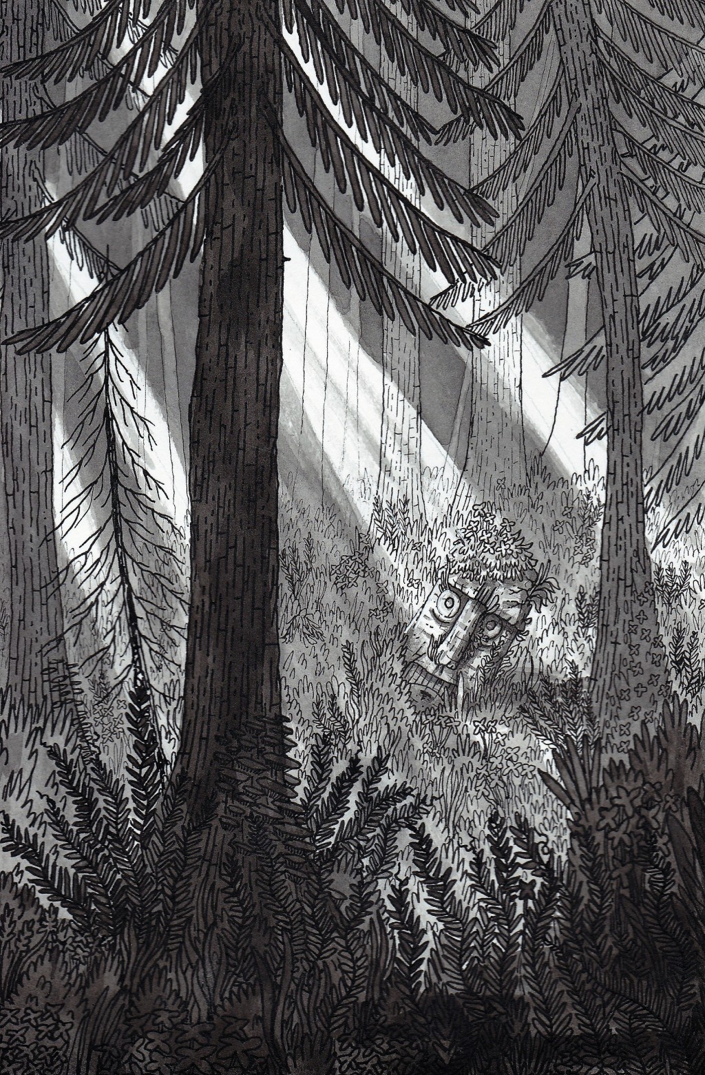 Pine Tree Forest Drawing