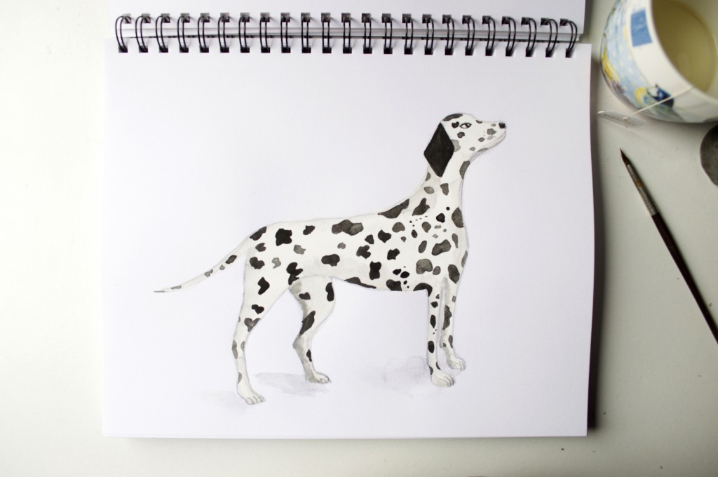 Dálmata drawing by Luisa Vidales Reina | Doodle Addicts