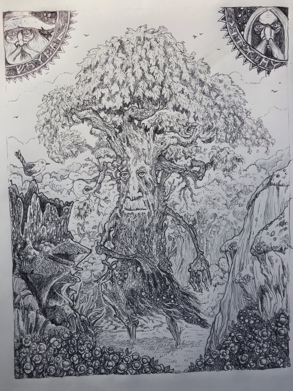 Treebeard drawing by Mark Shillaker | Doodle Addicts