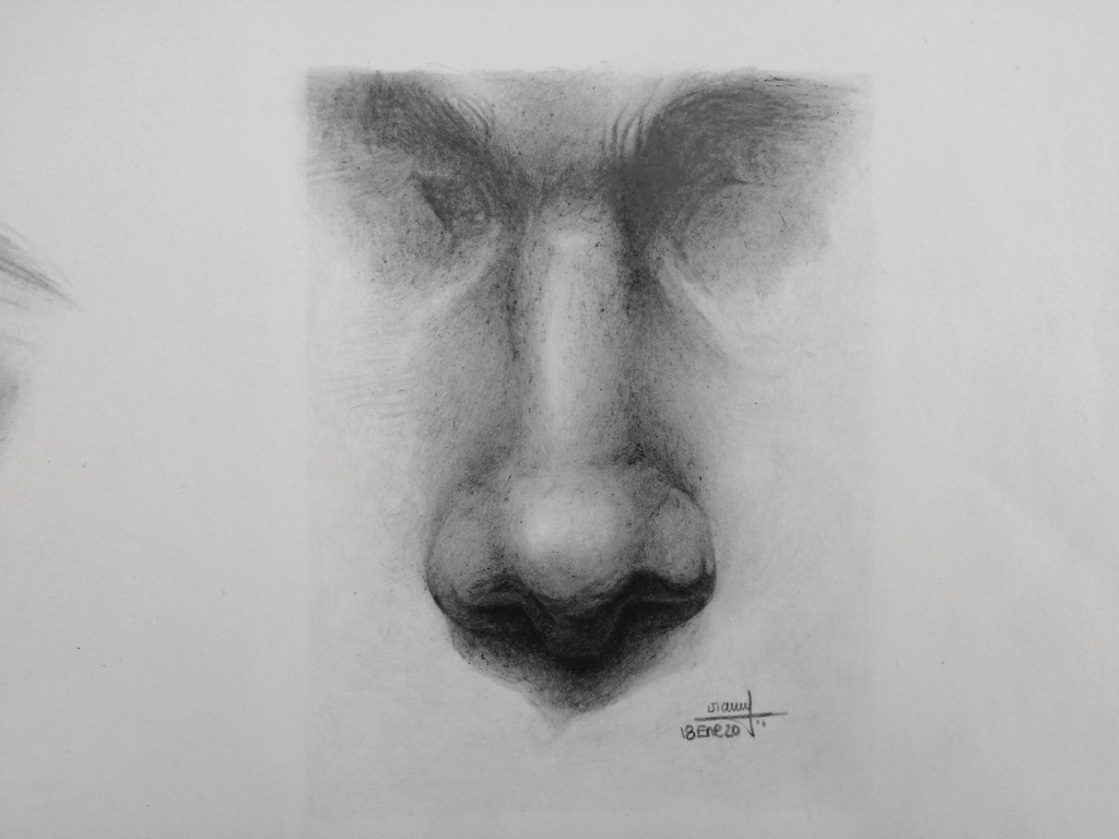 Ejercicio 1 Nariz drawing by Mariana Cortes | Doodle Addicts