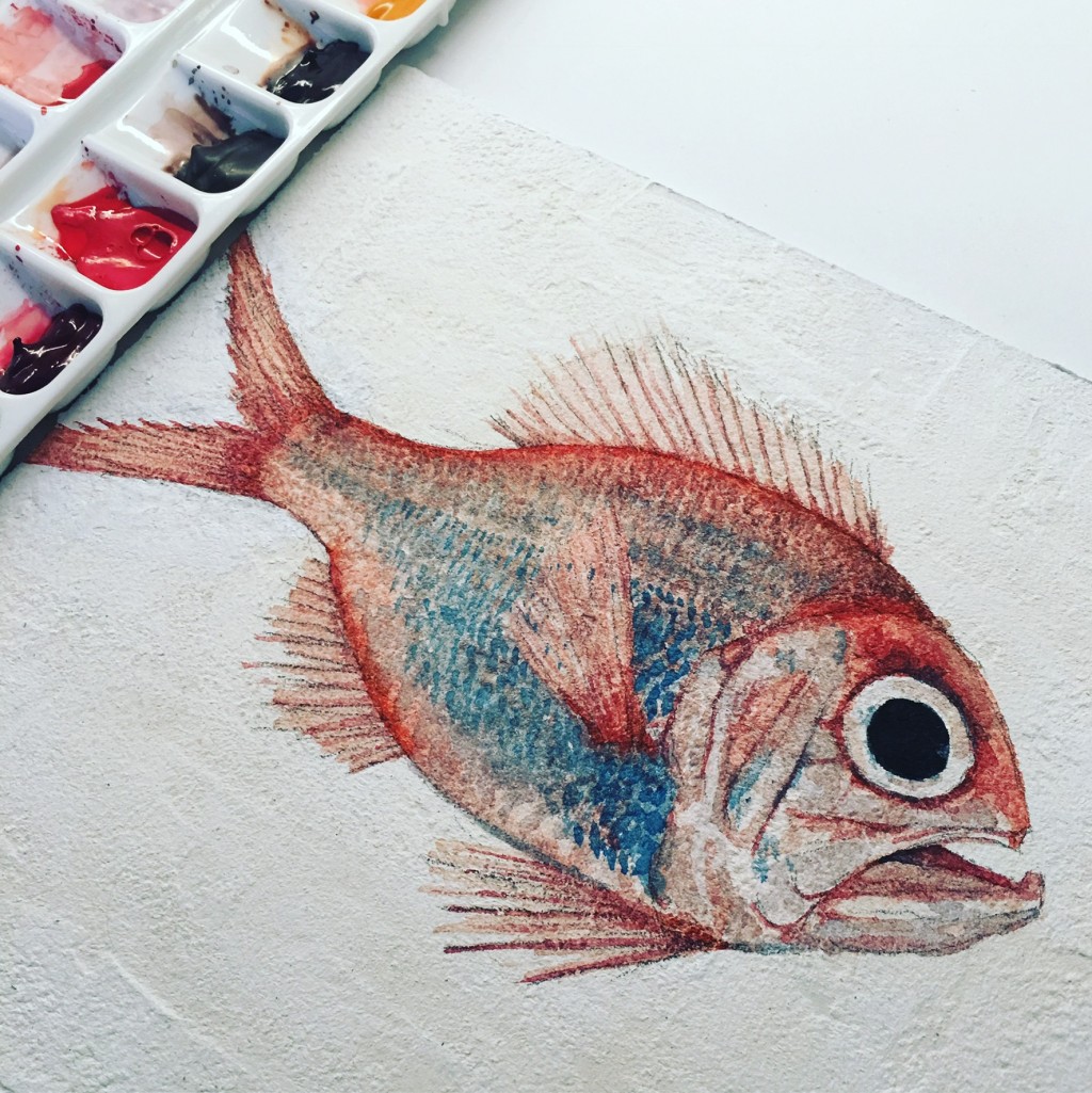 Fish drawing by Derek Lowes | Doodle Addicts