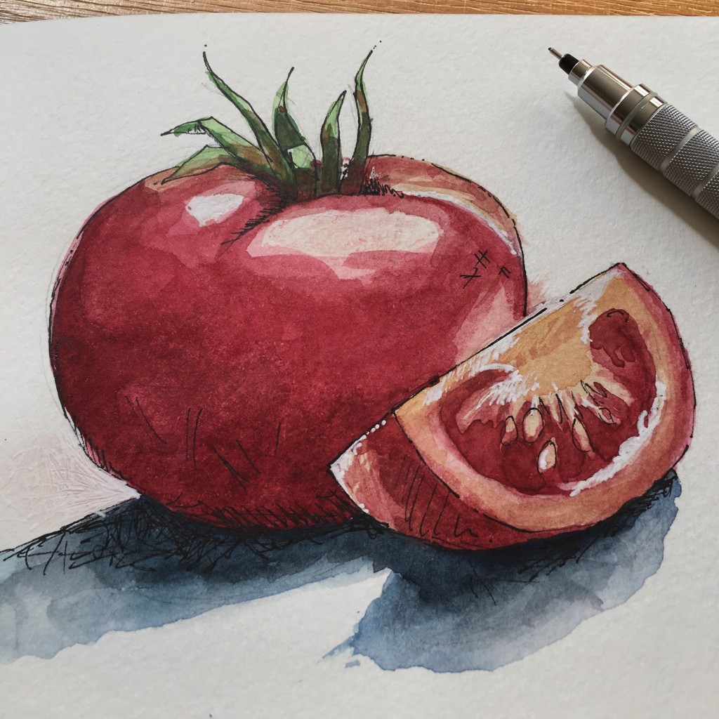 Tomato drawing by Derek Lowes | Doodle Addicts