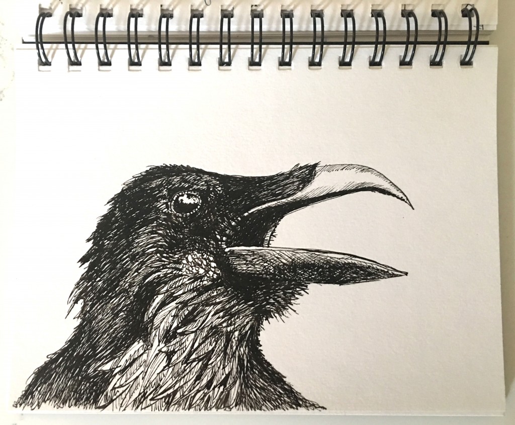 crow drawing by Derek Lowes | Doodle Addicts