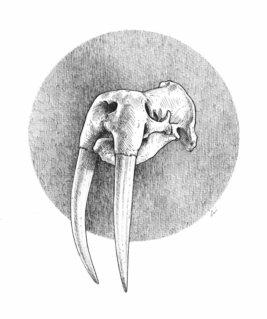 Problems aren't an anomaly drawing by Essi Kultanen | Doodle Addicts