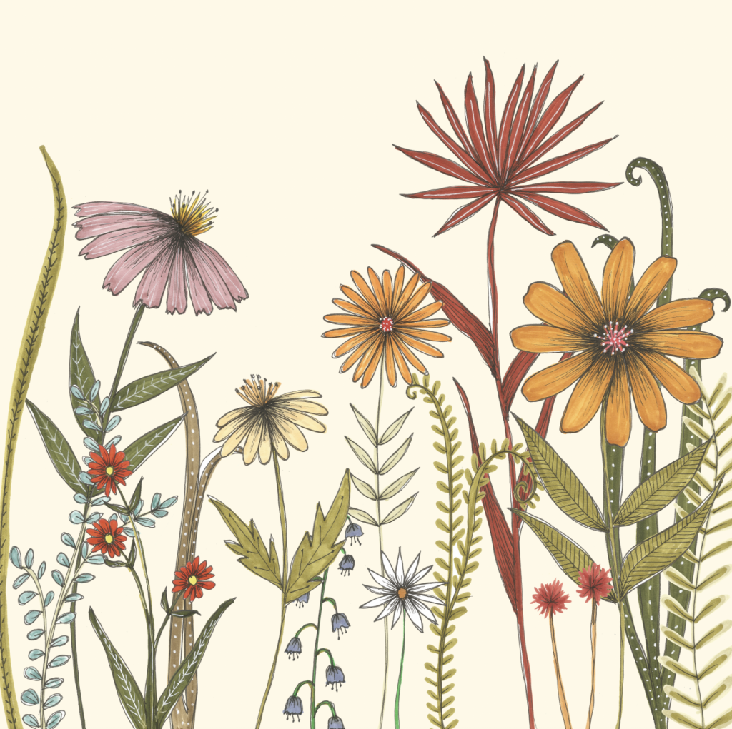 big blooms drawing by stacey walker oldham | Doodle Addicts