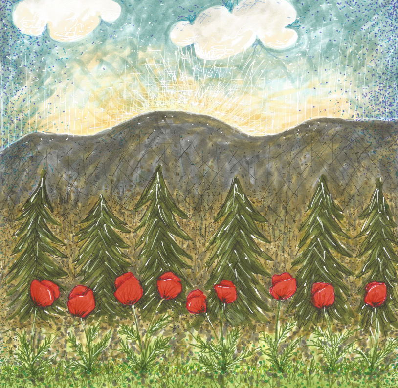 poppy landscape drawing by stacey walker oldham | Doodle Addicts