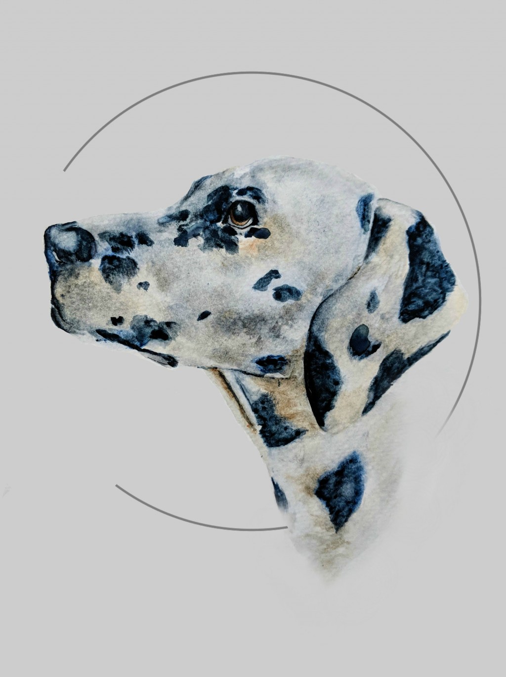 Dalmatian drawing by Jami Lea | Doodle Addicts