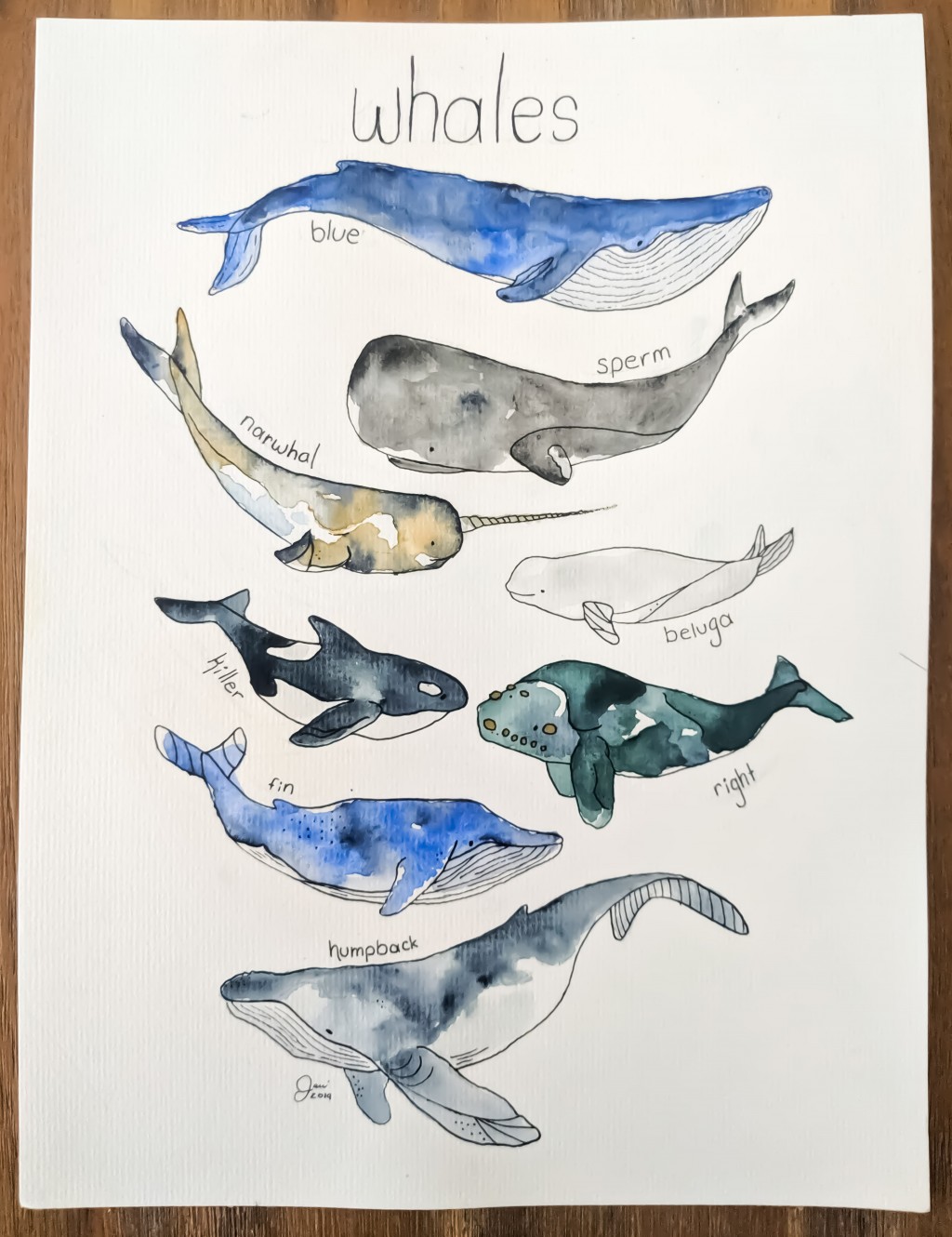 watercolor whales drawing by Jami Lea | Doodle Addicts