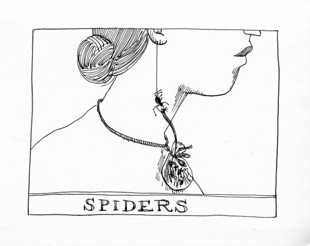 Spider superstition drawing by Sabina Hahn | Doodle Addicts
