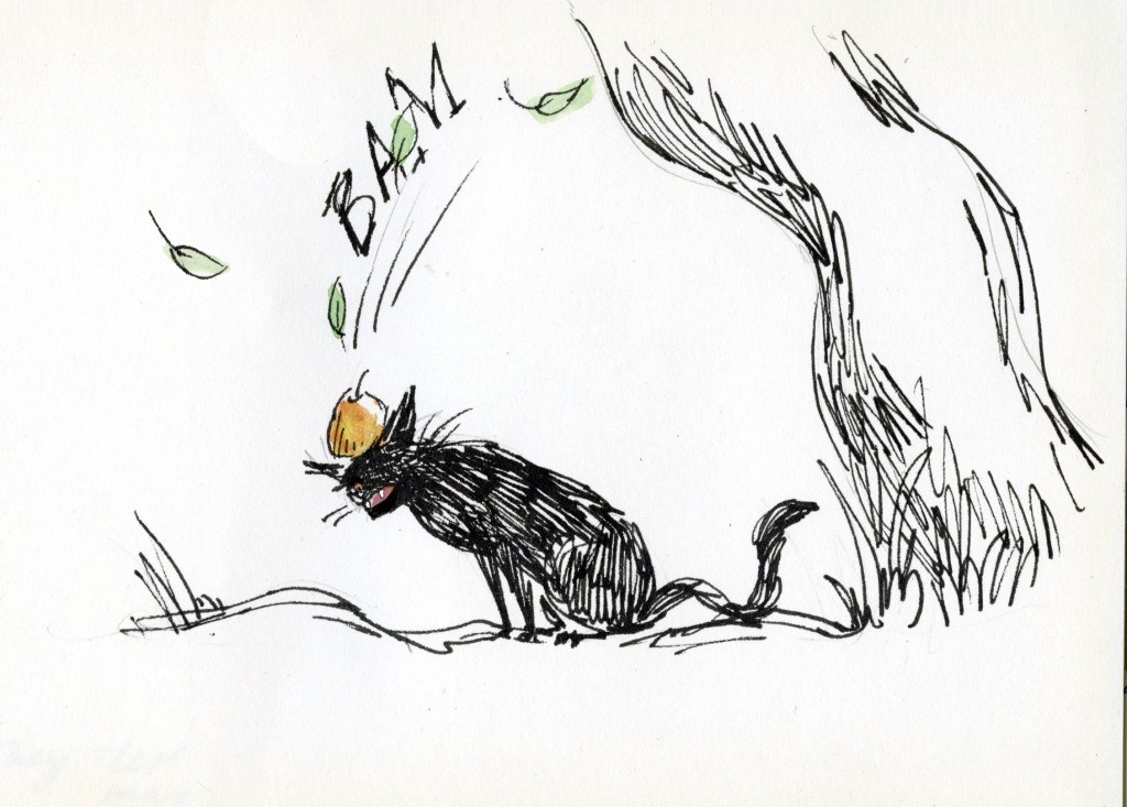 Apple falling. BAM! drawing by Sabina Hahn | Doodle Addicts