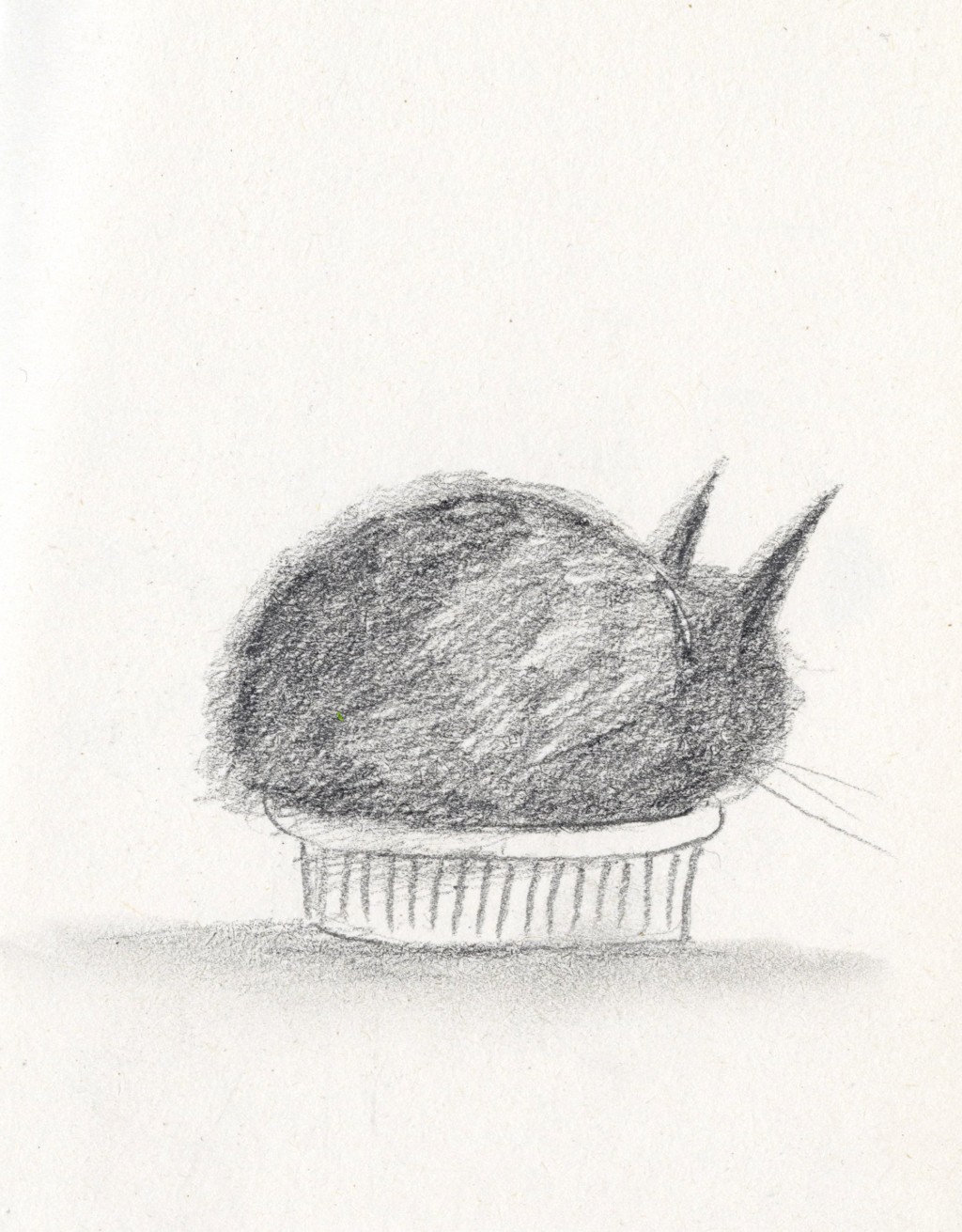 Cat loaf. drawing by Sabina Hahn | Doodle Addicts