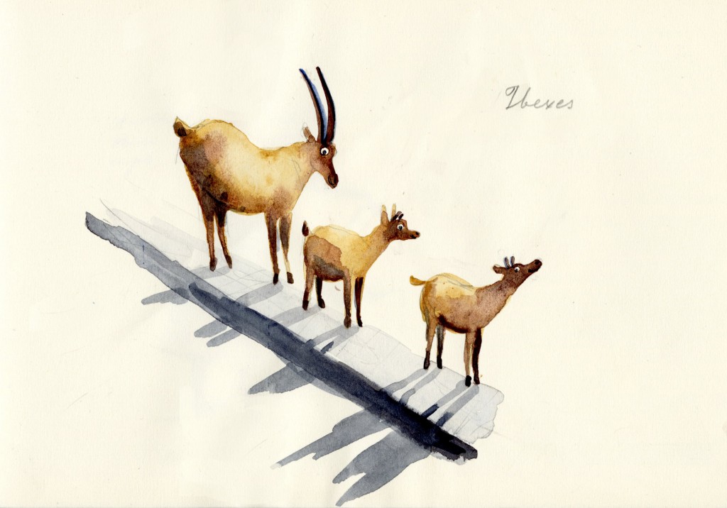 Ibexes drawing by Sabina Hahn | Doodle Addicts