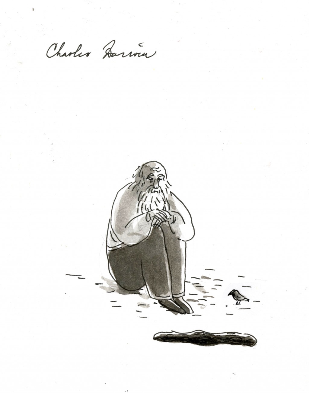 Charles Darwin drawing by Sabina Hahn | Doodle Addicts