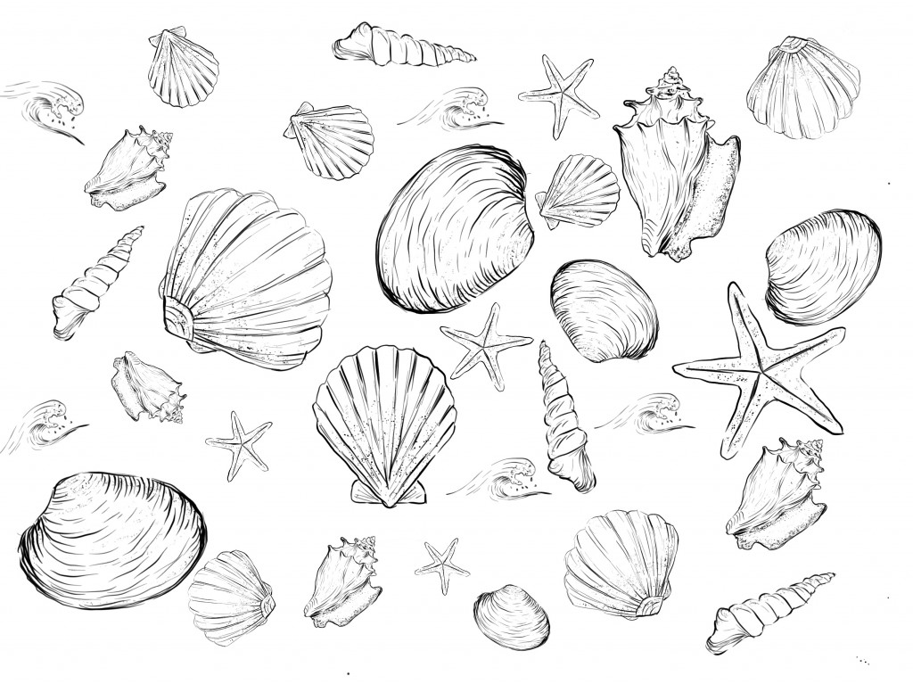 Shell Pattern drawing by Kevin VanEmburgh | Doodle Addicts