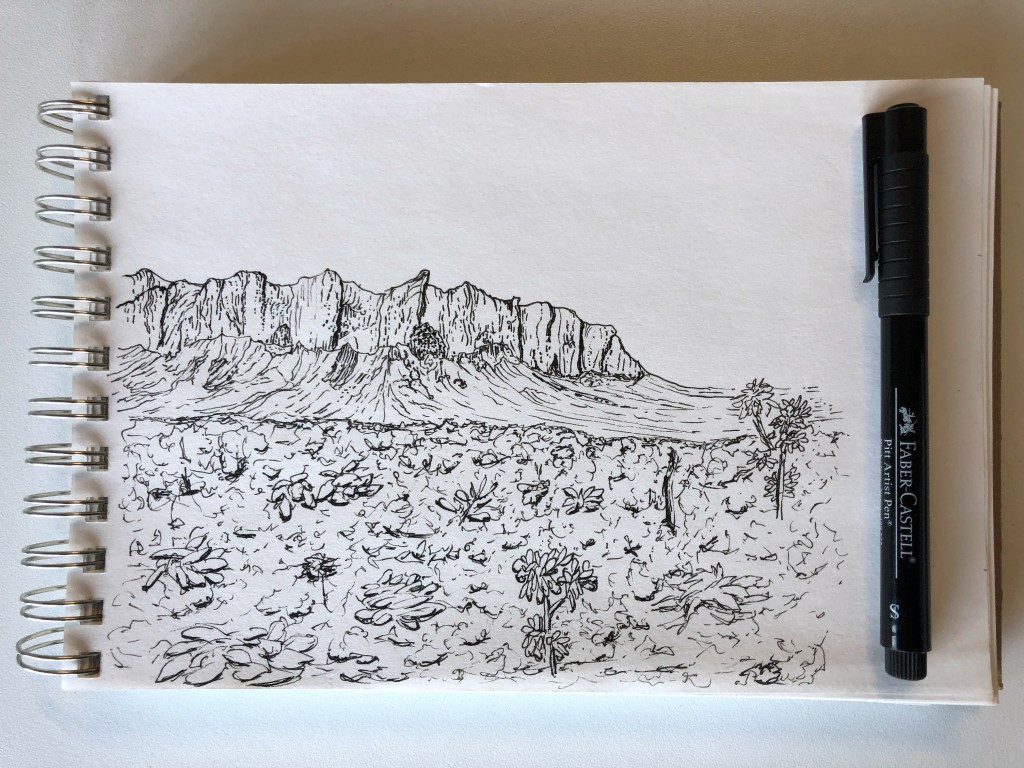 Southwestern Desert drawing by Kevin VanEmburgh | Doodle Addicts