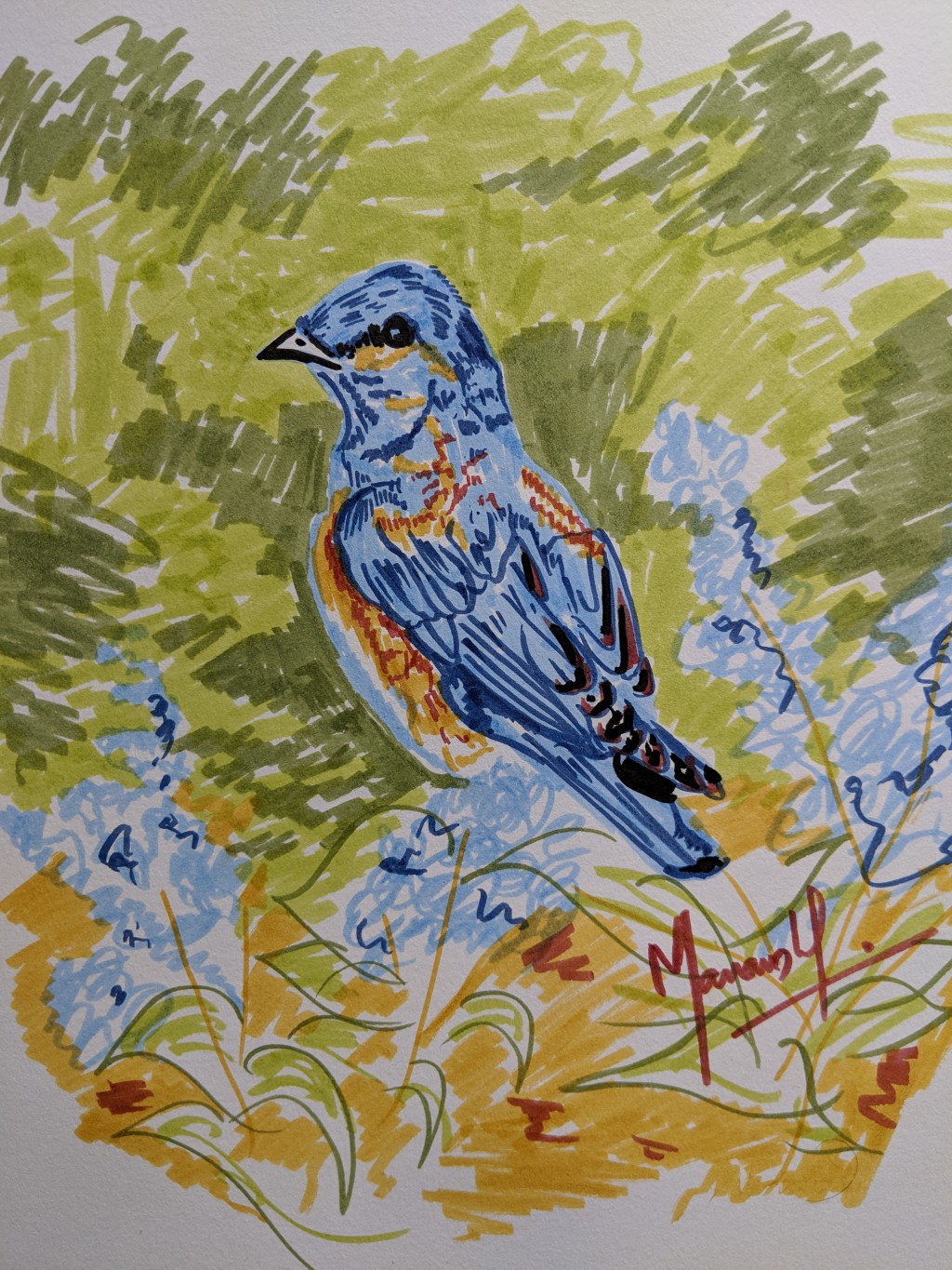 Blue Bird drawing by Manan sheel | Doodle Addicts