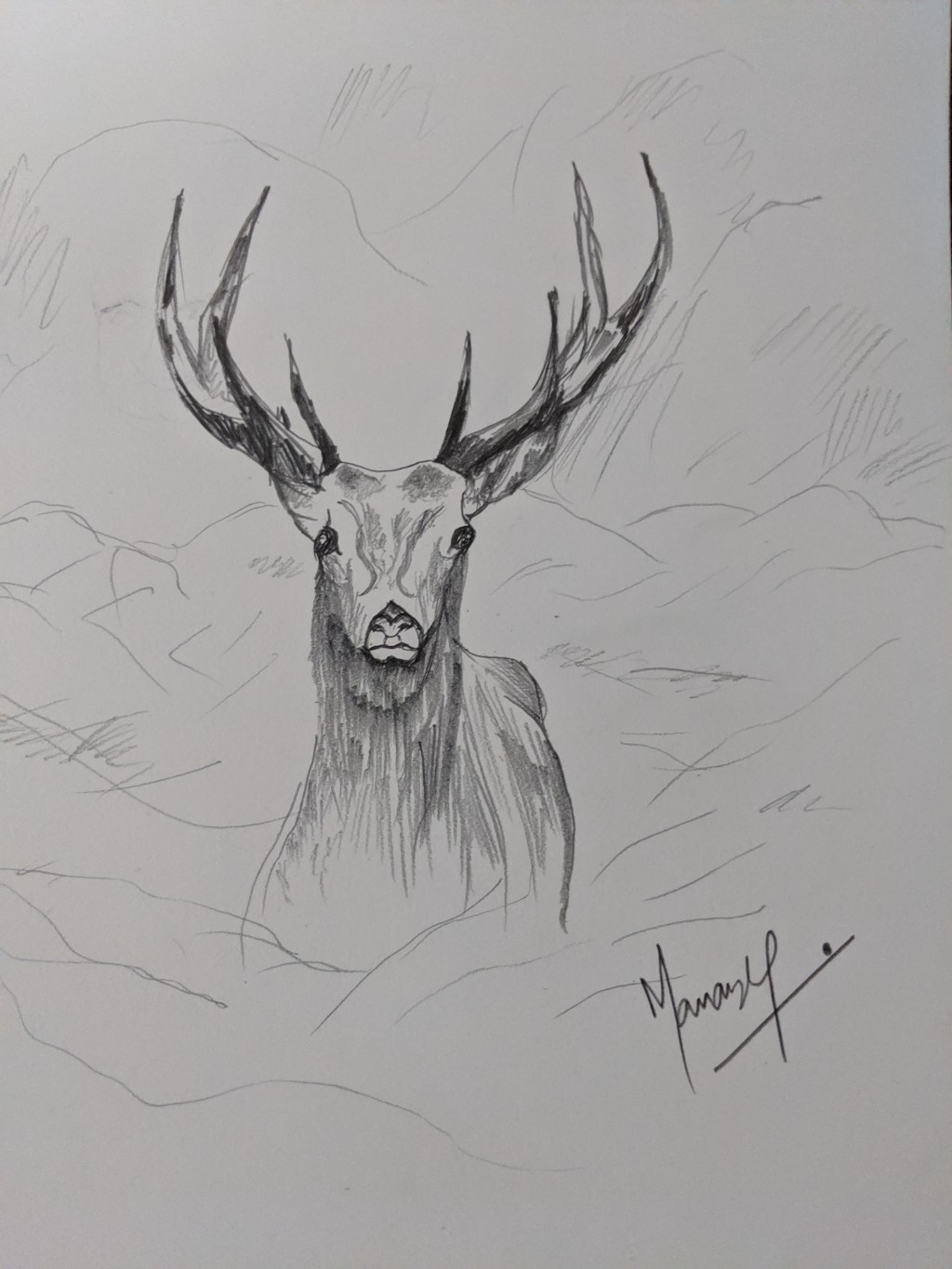 A Graceful Deer drawing by Manan sheel | Doodle Addicts