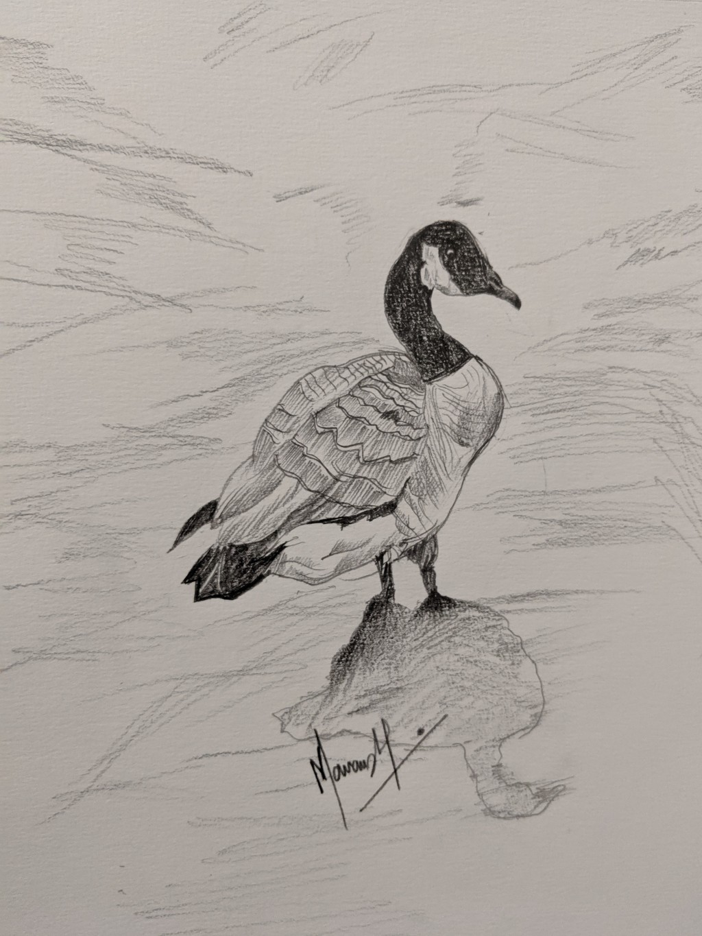 Sketch of a goose drawing by Manan sheel | Doodle Addicts