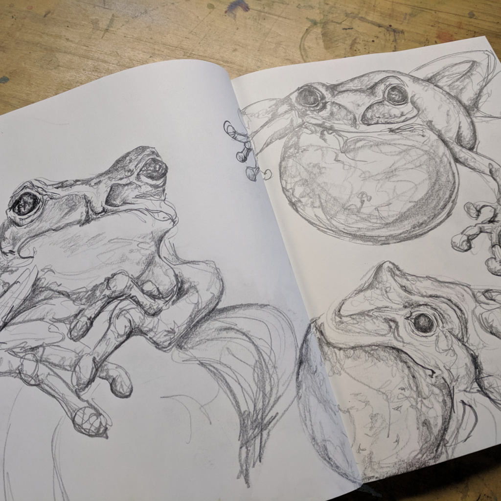 Spring Peepers drawing by Carolyn S. Pio | Doodle Addicts