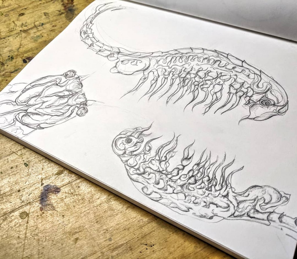 Fairy shrimp drawing by Carolyn S. Pio | Doodle Addicts